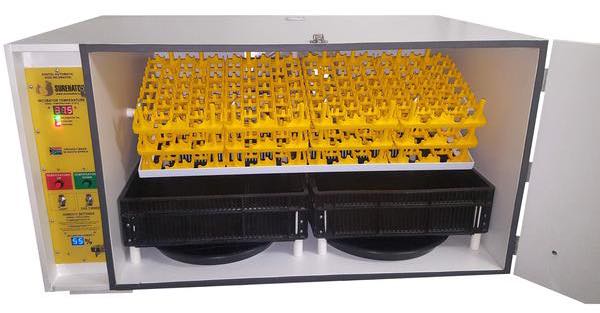 5 Reasons you should start an Egg Hatchery – The Poultry Shop