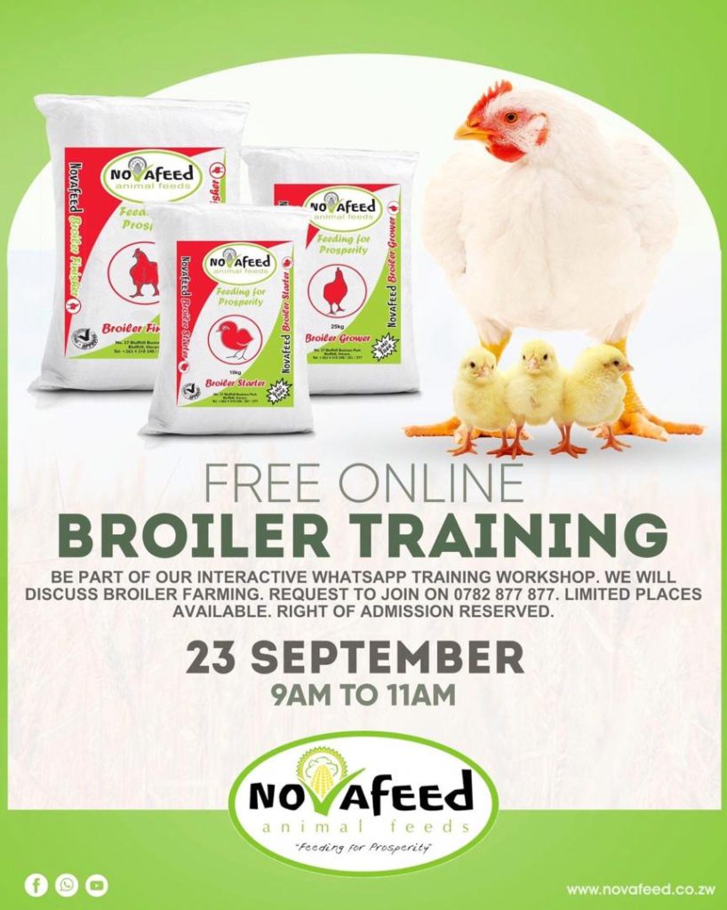 Novafeed Free Broiler Training Whatsapp Workshop – The Poultry Shop